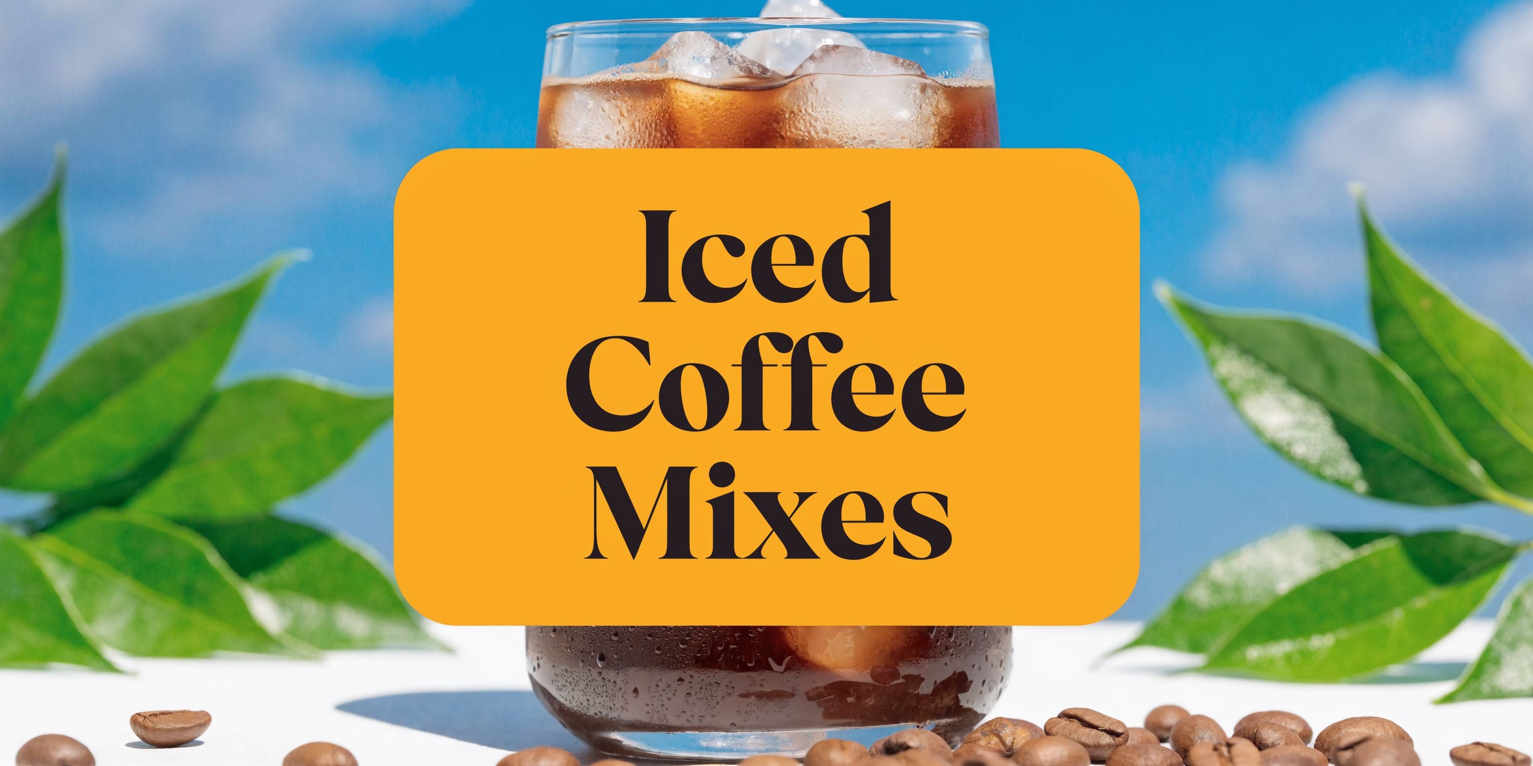 Best Iced Coffee Mixes: Guide to Quick & Tasty – Cartograph Coffee
